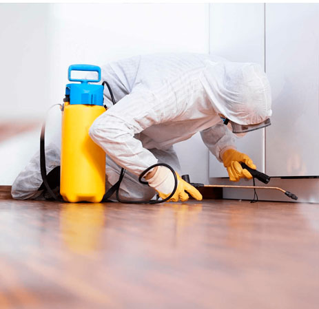 Top Rated Pest Control Services Near Me 🥇 Nov 2025