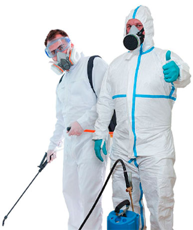 Top Rated Pest Control Services Near Me 🥇 Nov 2025